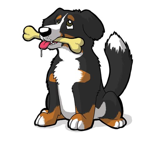 Bernese Mountain Dog By Drums Tech On Deviantart
