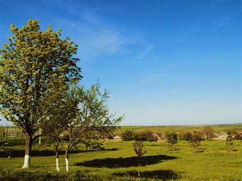 Україна Вигода Одеська область
