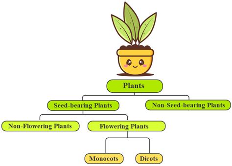 منهاجي Plant Groups