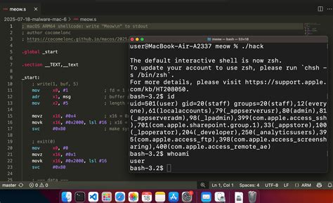 Malware Development Trick 45 Hiding And Extracting Payload In Pngs