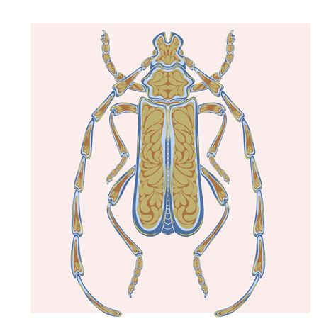 The Beetle Is Shown In A Patterned Design 67819823 Vector Art At Vecteezy