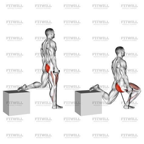 Band Single Leg Split Squat Exercise Guide Video Techniques