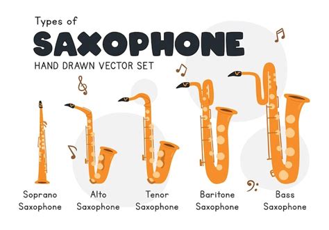 Premium Vector Types Of Saxophone Clipart Cartoon Soprano Alto