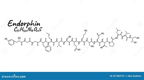 Conceito De Hormona Humana Endorfina Química Fórmula Esquelética ícone