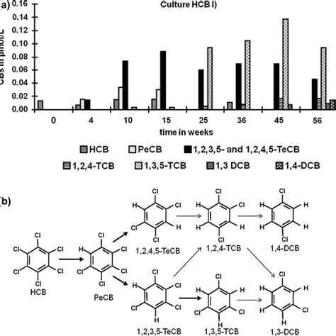 A Polychlorinated Biphenyl Aqueous Phase Concentrations B Pcb180