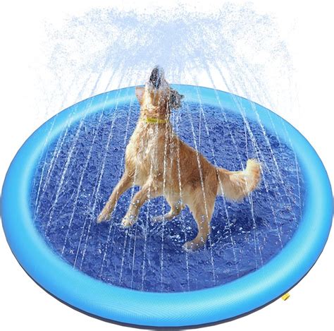 9 Best Dog Pools 2023 Including An Above Ground Pool For Large Dogs