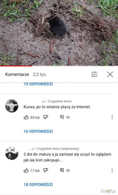 Kret Najlepsze Memy Zdjęcia Y I Obrazki Kwejkpl