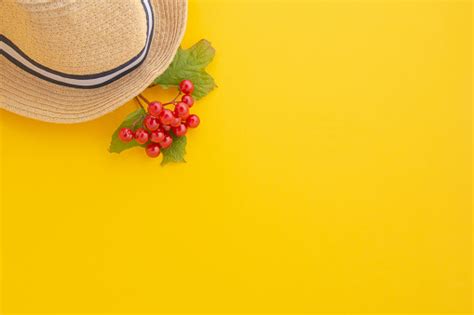 노란색 배경에 붉은 비버넘 열매와 밀짚 모자의 가지 여름 컨셉 0명에 대한 스톡 사진 및 기타 이미지 0명 가을 개화기