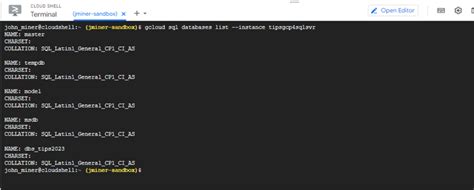 Deploy And Secure A Sql Server Instance On Gcp Managed Service