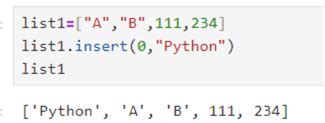 Python Variables And Data Types