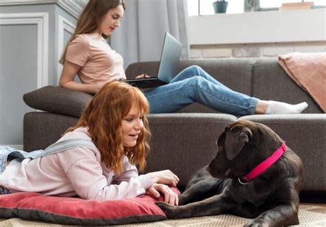 Premium Photo Medium Shot Women And Cute Dog