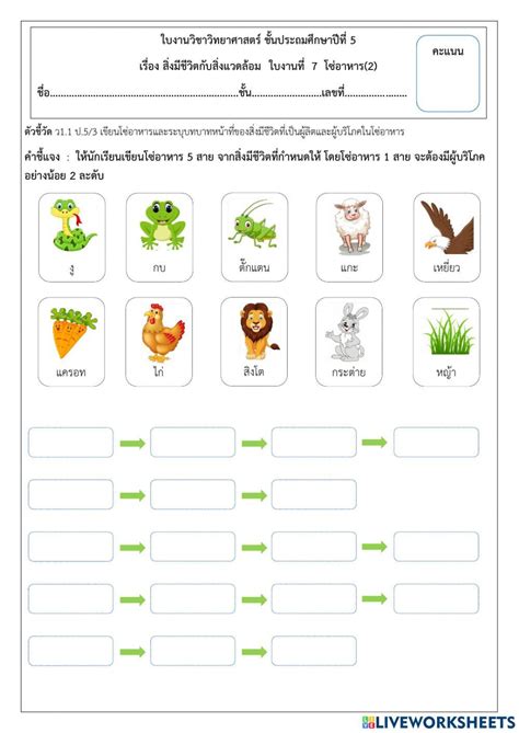 ใบงาน 7 เรื่อง โซ่อาหาร 2 Worksheet
