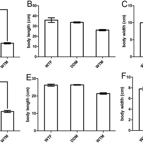 microinjection method and transient expression of gfp in c semilaevis