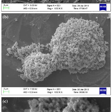 The Sem Micrographs Showing The Surface Morphology Of Synthesized A