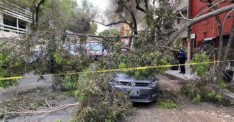 Alerta Amarilla En Cdmx Por Fuertes Vientos Universo Cdmx