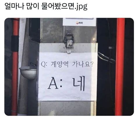 얼마나 많이 물어봤으면 일반 유머sub 시보드