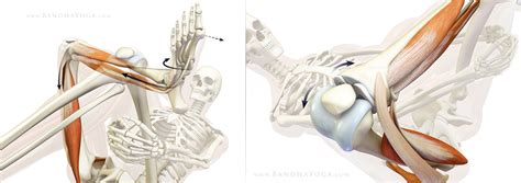The Daily Bandha Protecting Your Knee In Pigeon Pose