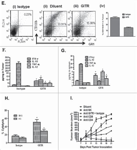 See Previous Page Anti Gitr Agonistic Antibody Treatment Increased