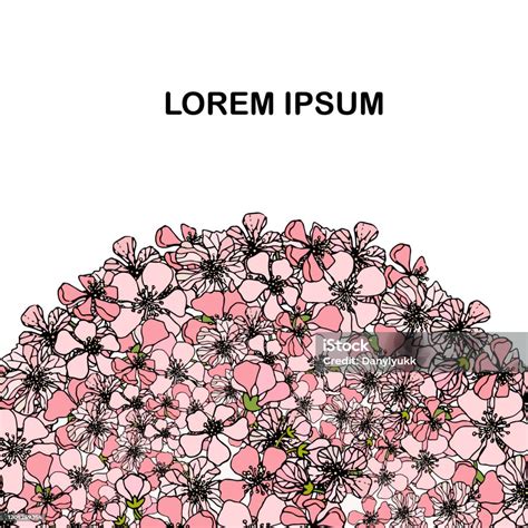 사쿠라 꽃 배경 로렘 입섬 분홍색 꽃에 흰색 예술 디자인 요소 손으로 그린 0명에 대한 스톡 벡터 아트 및 기타 이미지 0명