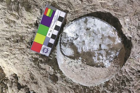 Crystallized Dinosaur Egg Fossils Unearthed In Hubei Cn