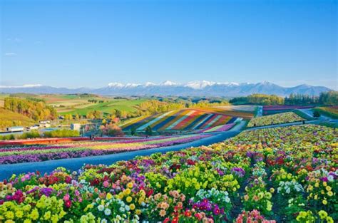 10 Amazing Things To Do In Hokkaido Japan FromJapan