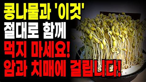 콩나물과 이것 절대로 함께 먹지마세요 암과 치매에 걸립니다 콩나물과 최고의 조합인 음식 콩나물과 최악의 조합인 음식 콩나물 효능 레시피 Youtube
