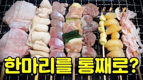 부위별로 들어있는 모듬꼬치 팩 리뷰 Youtube