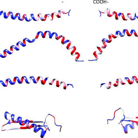 Pdf Identification And Characterization Of Novel Cecropins From The Oxysternon Conspicillatum