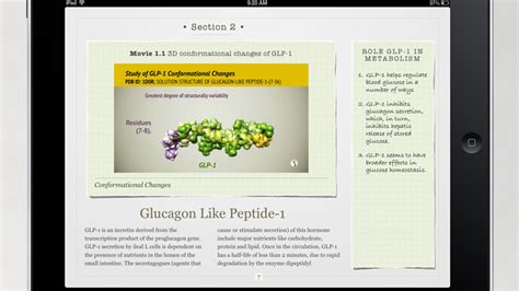 The Incretin Effect Biologic Design