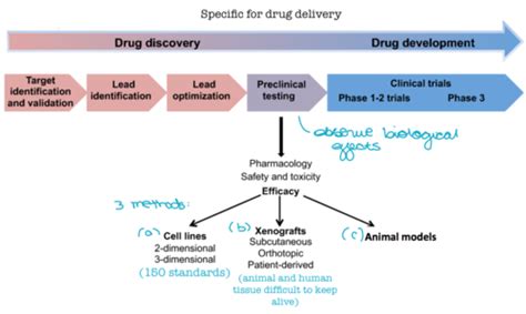 Pre Clinical Models Flashcards Quizlet