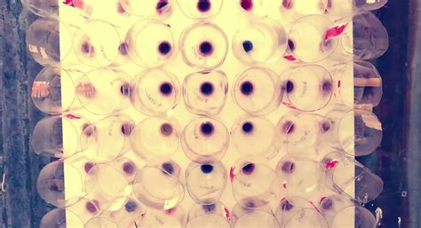 The Zero Electricity Air Cooler