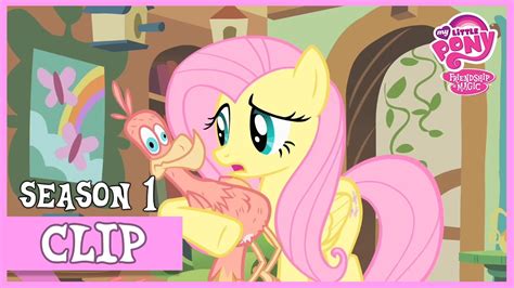 Philomena Mlp Wallpaper