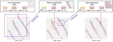 논문 리뷰 Urcdm Ultra Resolution Image Synthesis In Histopathology