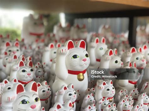 다양한 크기의 귀여운 일본 마네키 네코 고양이 인형 더미 귀여운에 대한 스톡 사진 및 기타 이미지 귀여운 금 금속 금색