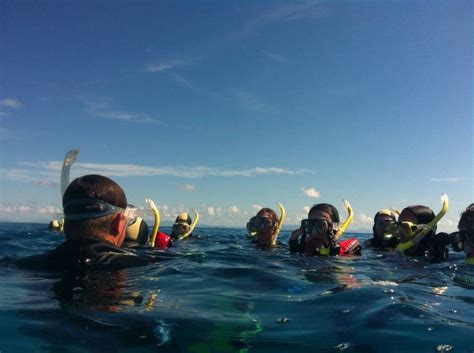Our Day Snorkelling The Great Barrier Reef Australia