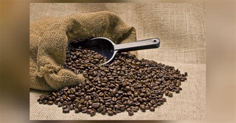 Gedicht über den Kaffeekonsum der Menschen Reviu de