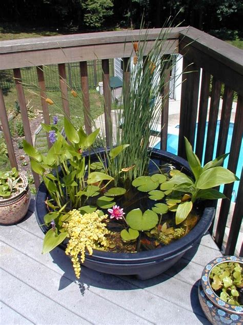 Balkon Ideen Selber Machen Ein Mini Teich Im Topf Balkon Diy Zenideen