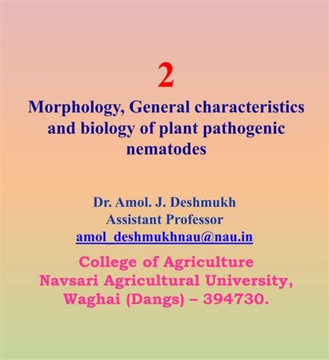 Introduction To Nematodes Pptx Reproductive Health Diseases And Conditions