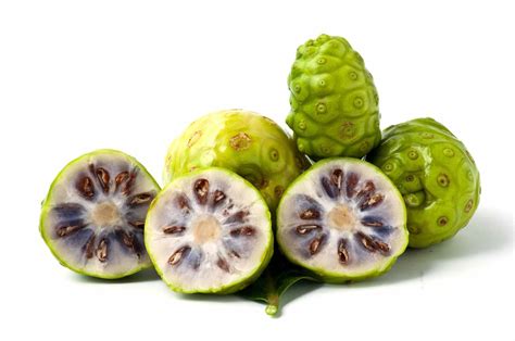 What Is Noni Juice Used For At Christopher Hazel Blog