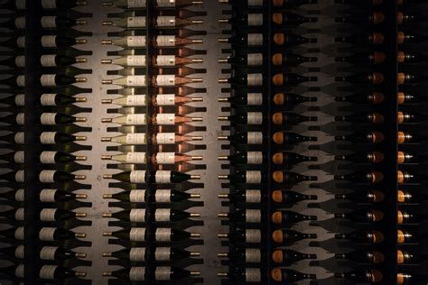 Gallery of Gai-Kodzor Winery / Kleinewelt Architekten - 7