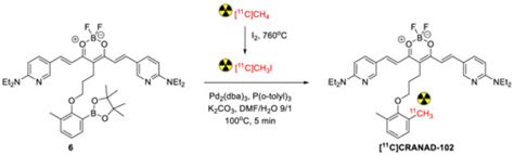 Journal Of Labelled Compounds And Radiopharmaceuticals Vol No