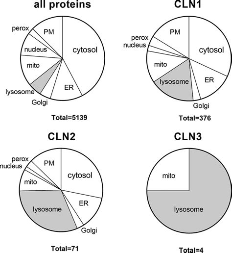 Subcellular Distribution Of All Quantified Proteins And Proteins That