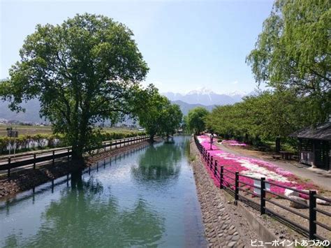 拾ヶ堰と芝桜 安曇野の風景写真 ビューポイントあづみの