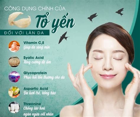 Yến sào Quy Nhơn Bình Định nguyên chất 100 uy tín Yến sào Quy Nhơn