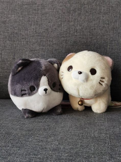 Yell Cute Cat Plush Combo Soft Toy Hobbies And Toys Toys And Games On