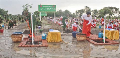 ကာကွယ်ရေးဦးစီးချုပ်ရုံး ကြည်း၊ ရေ၊ လေ မိသားစုများ၏ ၂၀၂၃ ခုနှစ် စတုတ္ထအကြိမ် မိုးရာသီသစ်ပင်စိုက