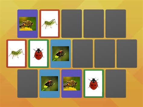 Memotest De Insectos Matching Pairs
