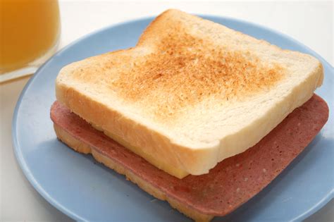 How To Make A Toasted Ham And Cheese Sandwich 5 Steps