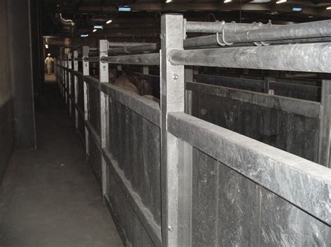 Cattle Entry Passage