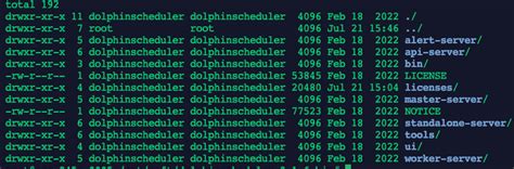 Dolphinscheduler Seatunnel Flink 数据集成 三剑客 Miraclewcg